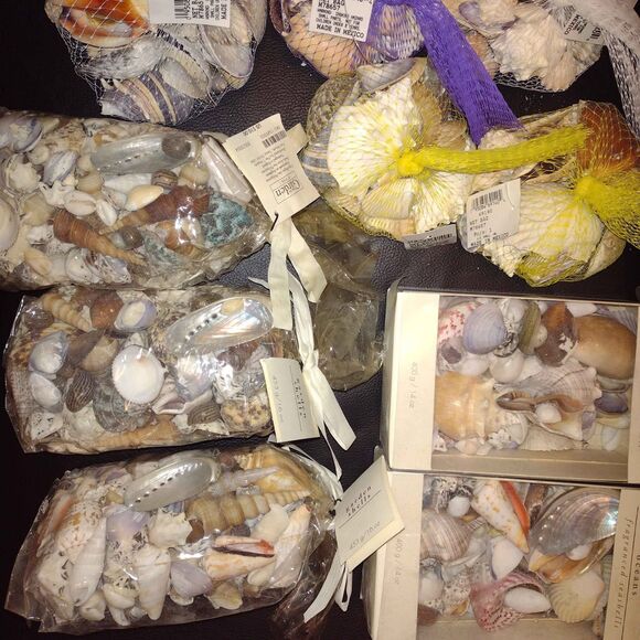 Other | Seashell Lot Bundle New | Poshmark
